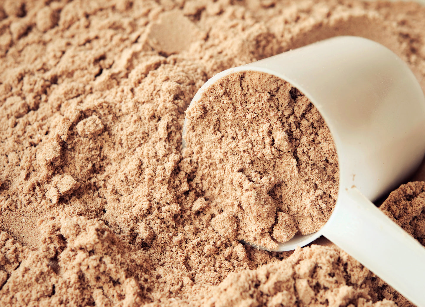 Chocolate Peanut Butter Protein Powder - 12 Servings – Beam